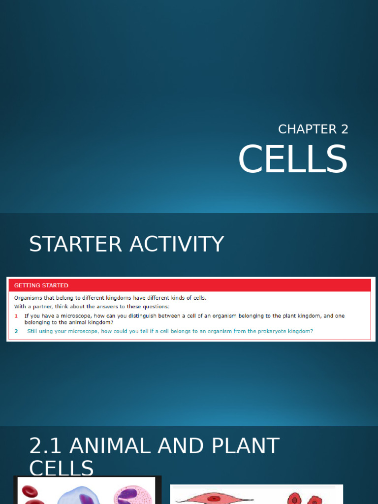 CELLS | PDF