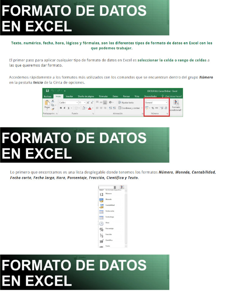 Formatos de Datos Excel | PDF