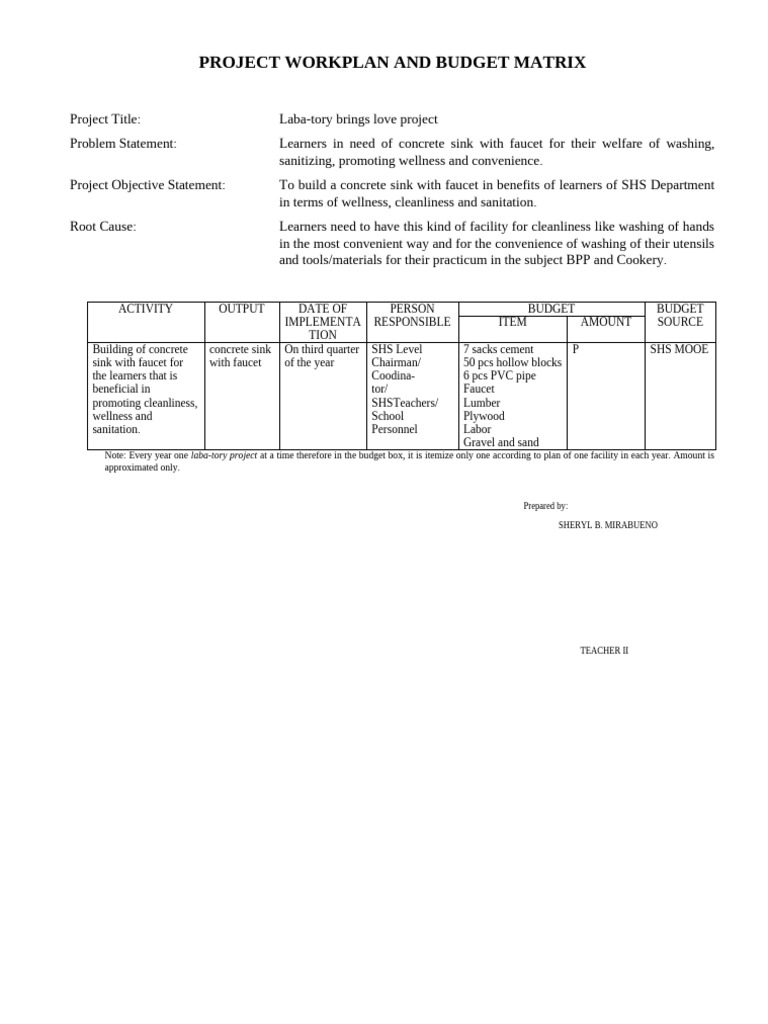Project Workplan and Budget Matrix | PDF