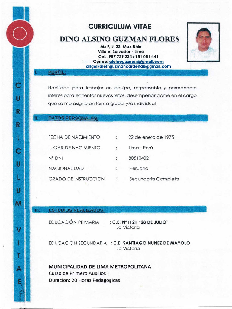 CV Dino Guzman Flores | PDF