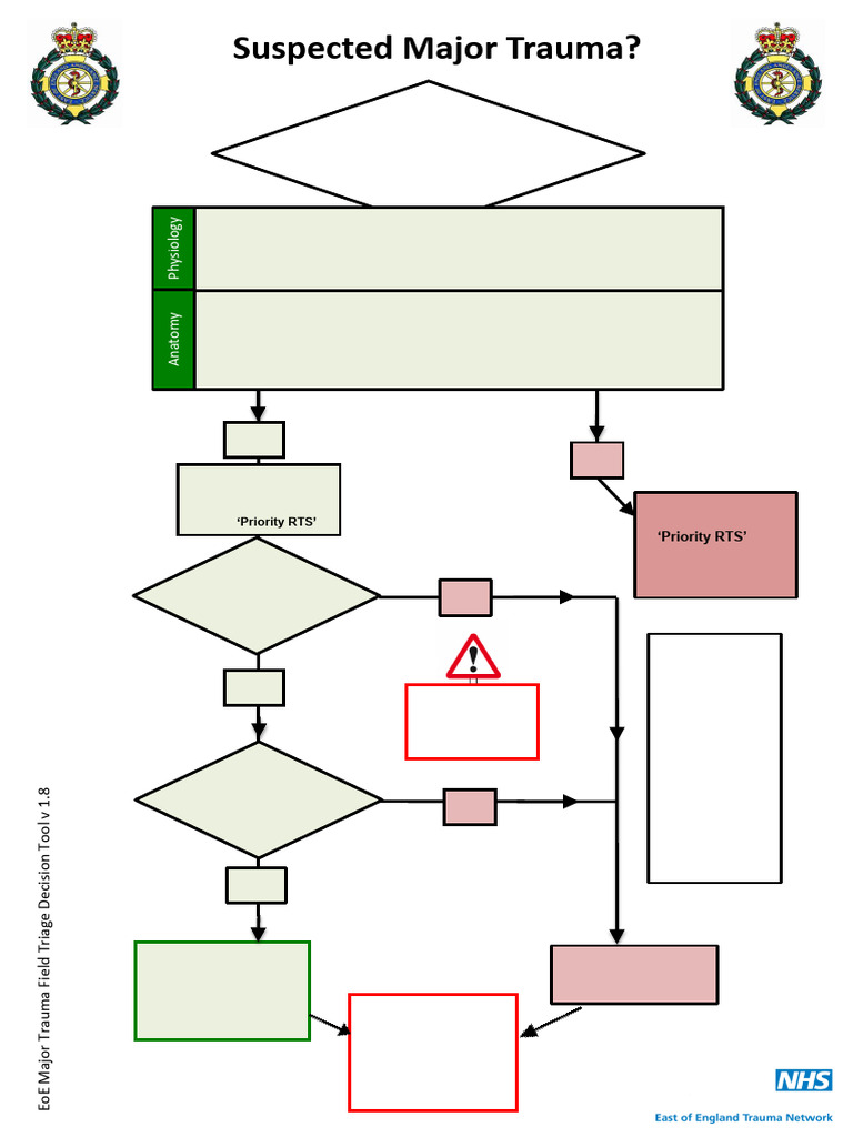 Trauma Identifier Card | PDF | Major Trauma | Clinical Medicine