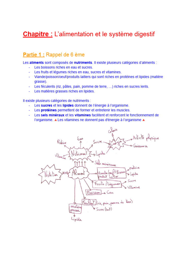 Chapitre - L'alimentation Et Le Système Digestif | PDF