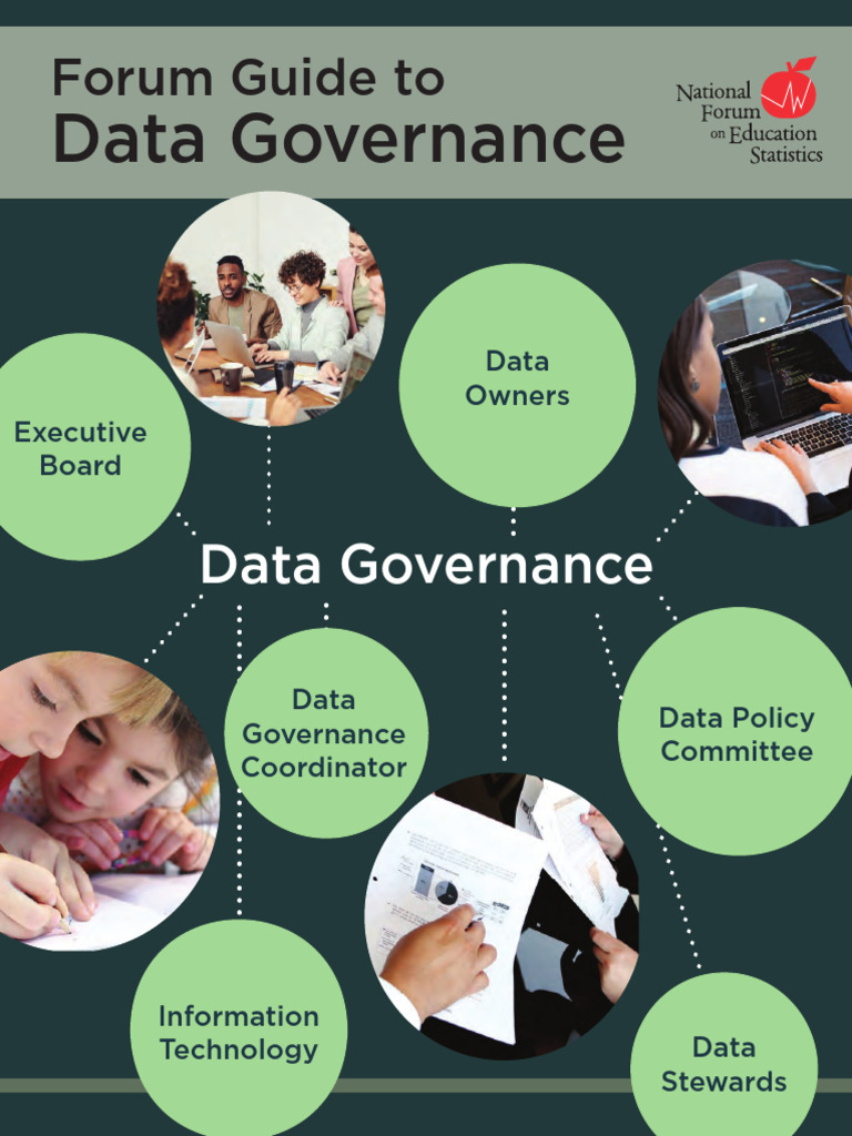 Forum Guideto Data Governance | PDF