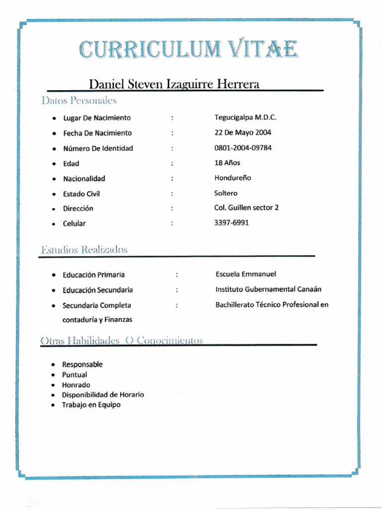 curriculum steven-1 (1) | PDF