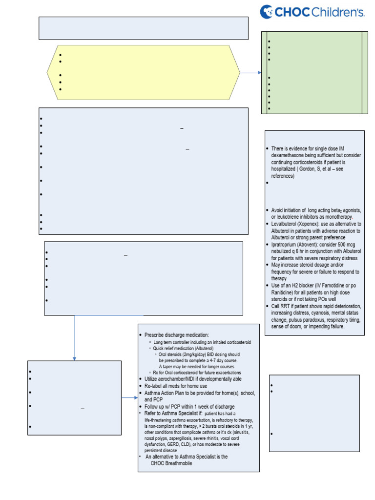 Asthma Care Guideline | PDF