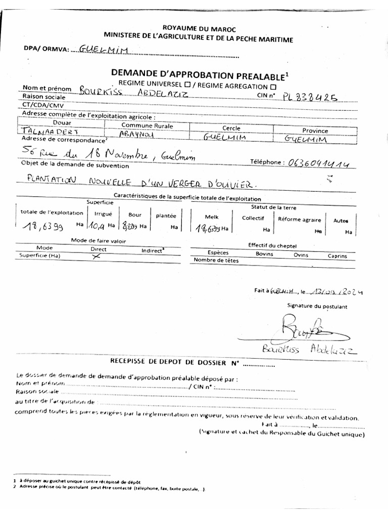 Demande D'approbation Préalable | PDF