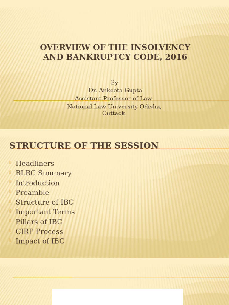 Overview of The IBC | PDF