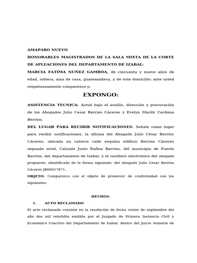 Amparo Marcia Fatima Nuñez Gamboa | PDF