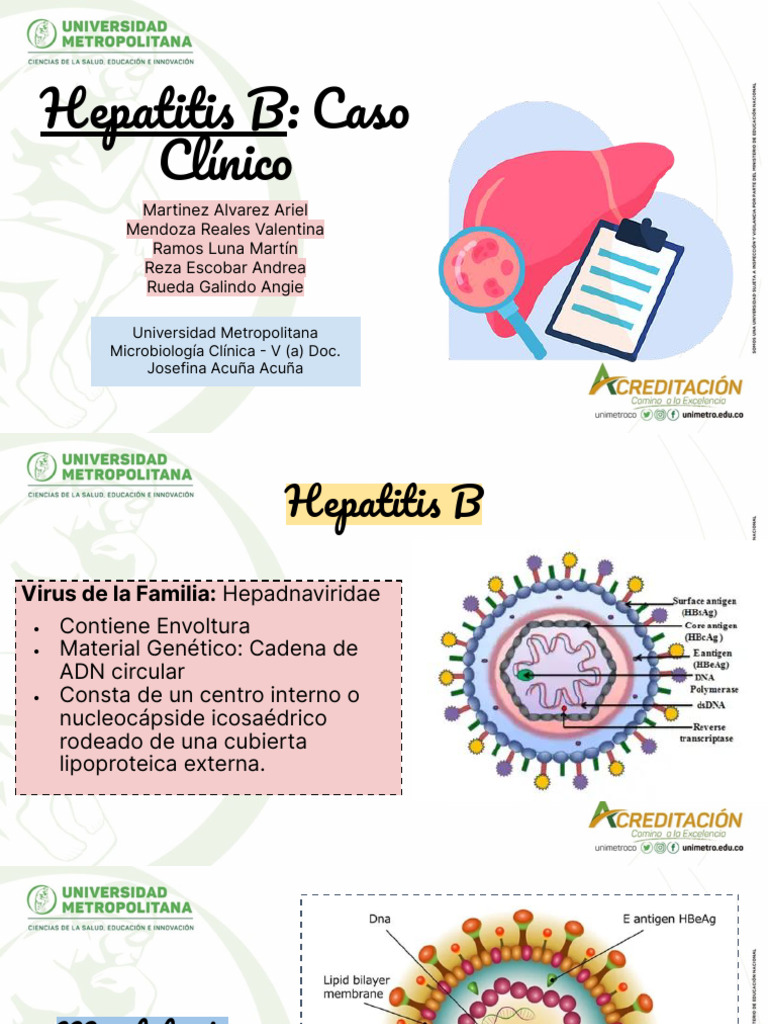 Hepatitis B | PDF