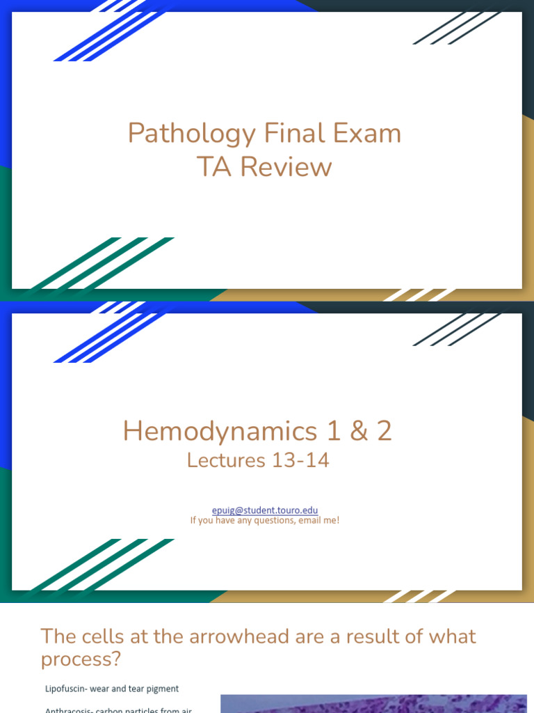 Path Final | PDF