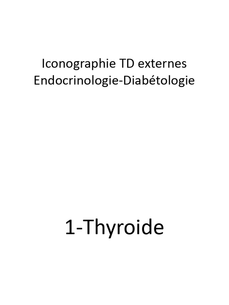 Iconographie Externe | PDF