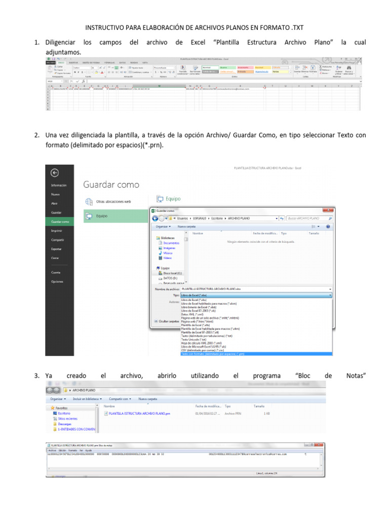 INSTRUCTIVO-PARA-ELABORACION-DE-ARCHIVOS-PLANOS-EN-FORMATO-TXT | PDF