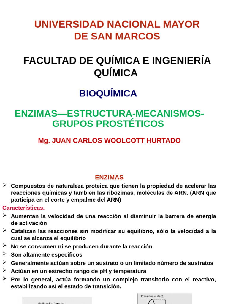 BIOCHEM.3.24 Enzimas-mecanismos Grupos Prostéticos | PDF