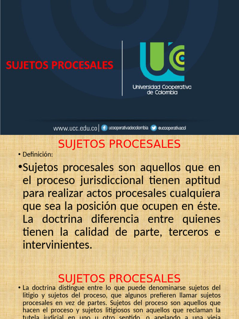 Sujetos Procesales | PDF
