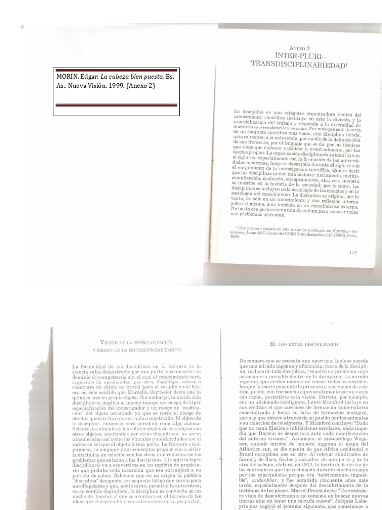 Texto de Morin | PDF