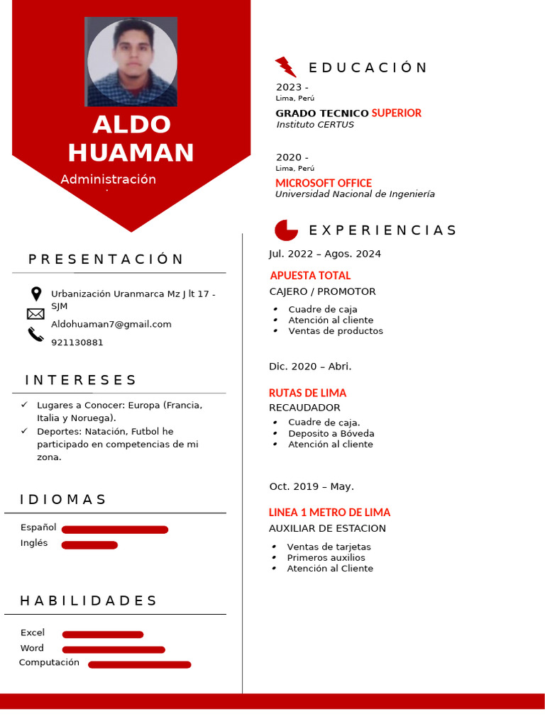 CV Actual Aldo | PDF