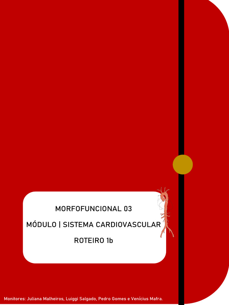 Roteiro 1-b Morfo - Merged | PDF
