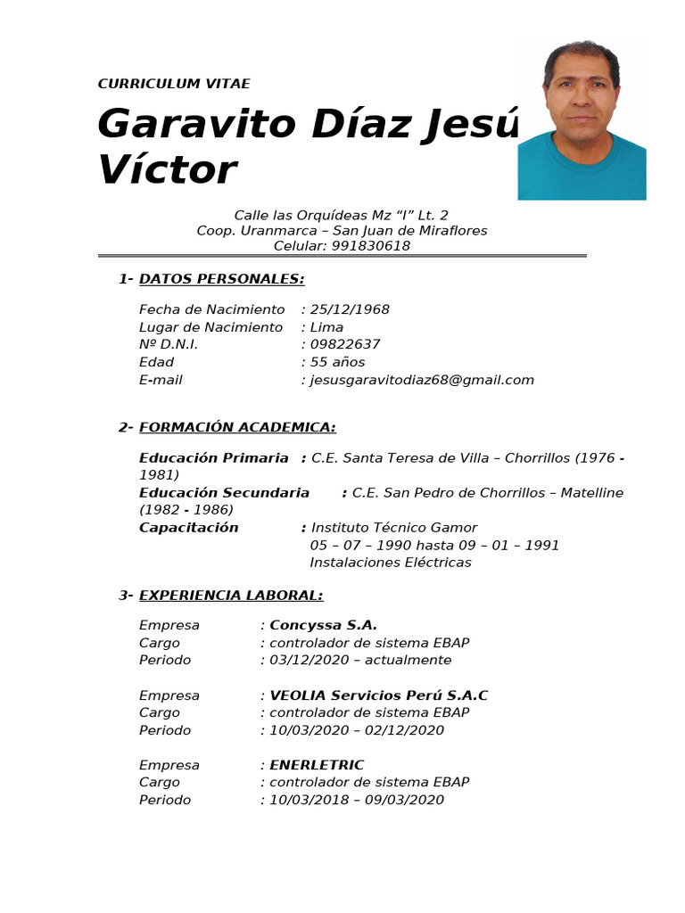 CURRICULUM VITAE Jesus Garavito | PDF
