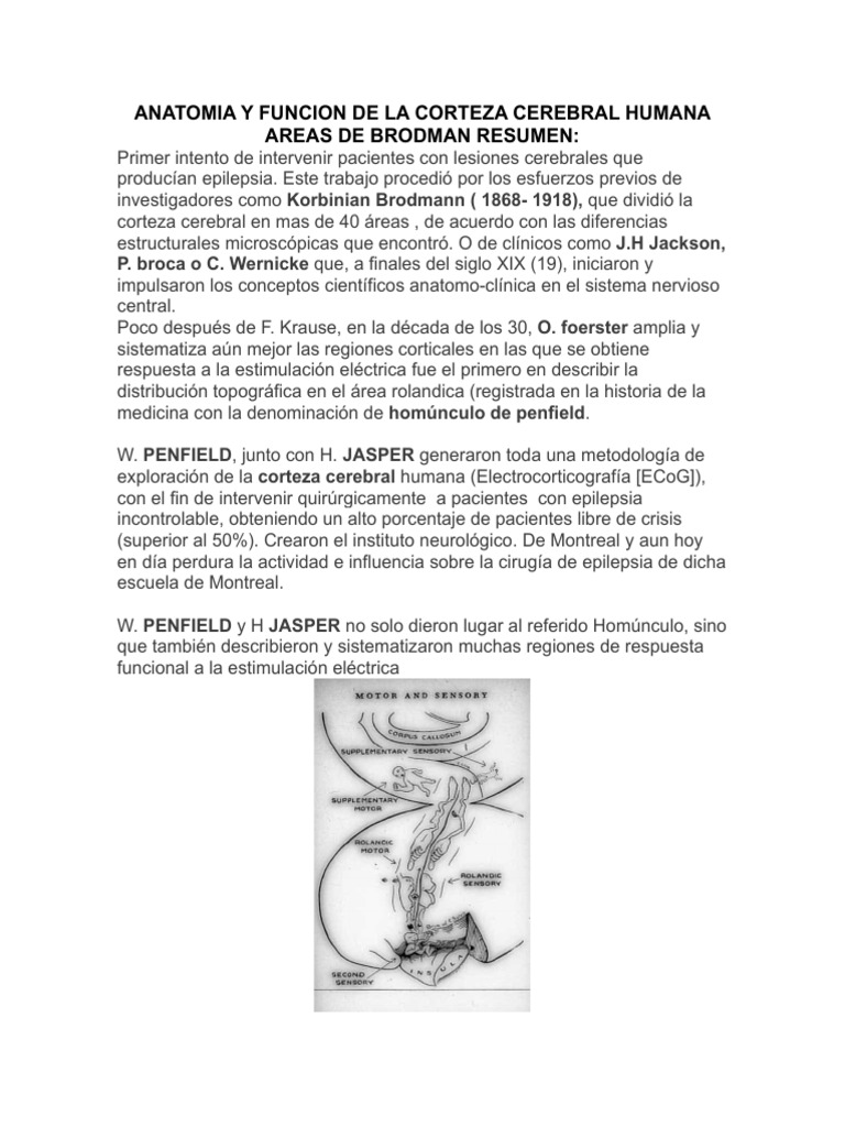Fisio | PDF