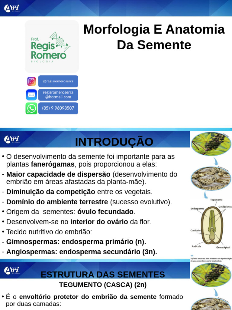 Morfologia e Anatomia Do Fruto e Semente | PDF
