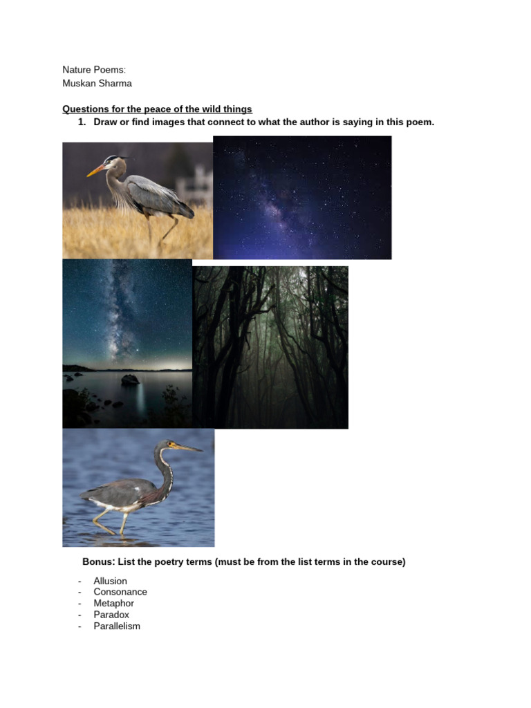 Nature Poems - 2 | PDF