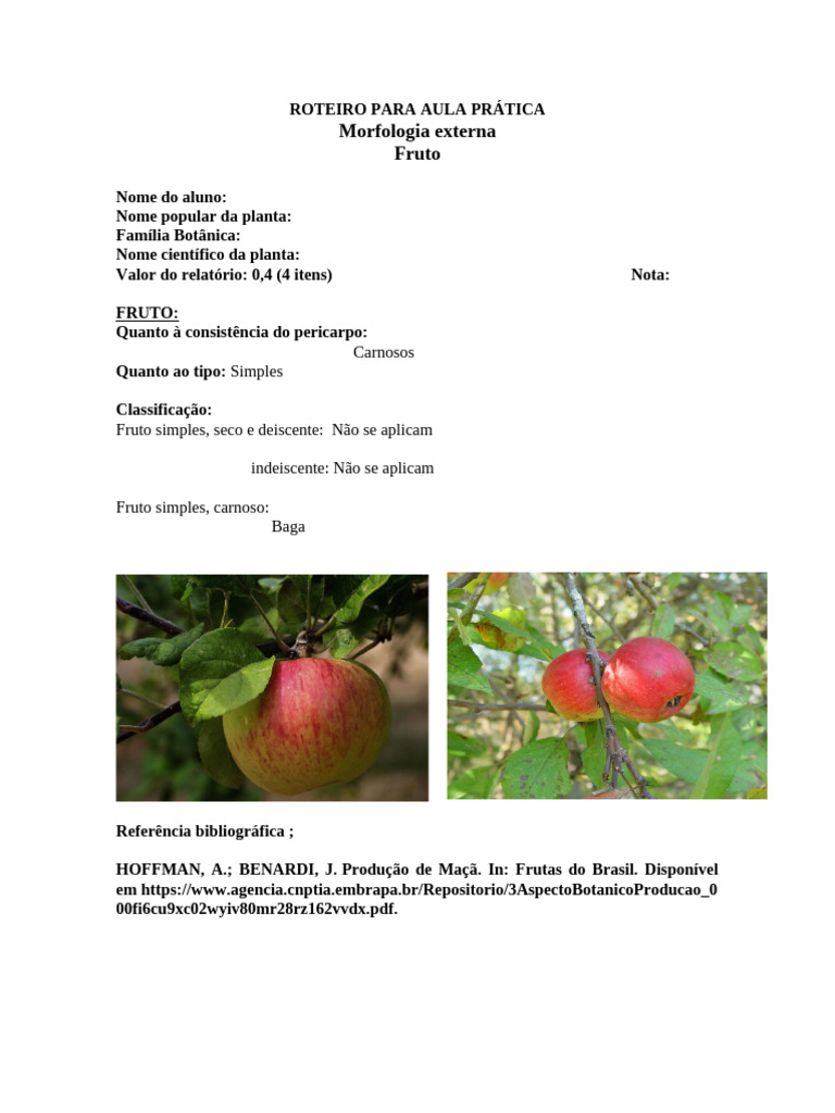 Trabalho 3 - Fruto | PDF