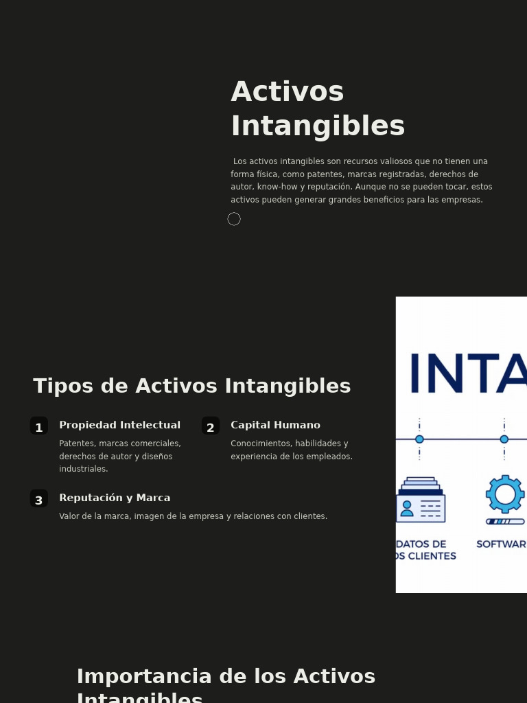 Proyecto Activos Intangibles | PDF
