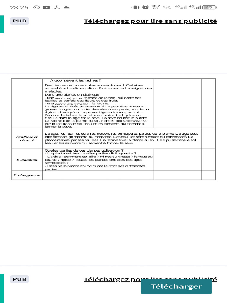 PDF Phoenix 20240917 232654 | PDF