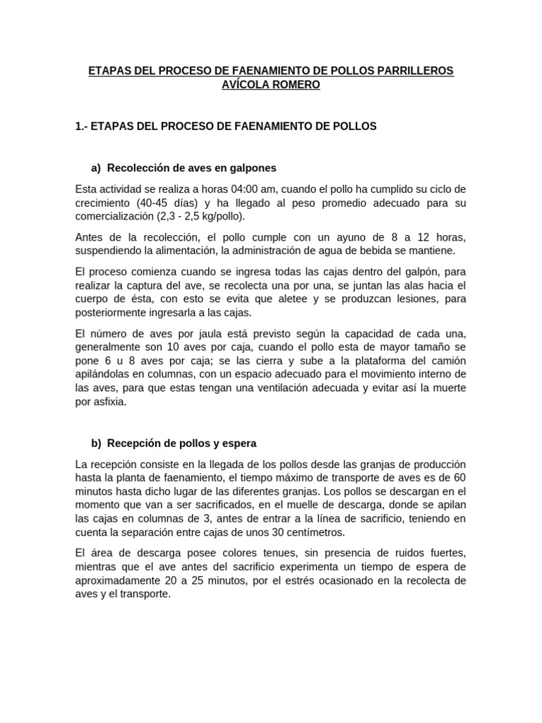 Etapas Del Proceso de Faenamiento de Pollos Parrilleros | PDF