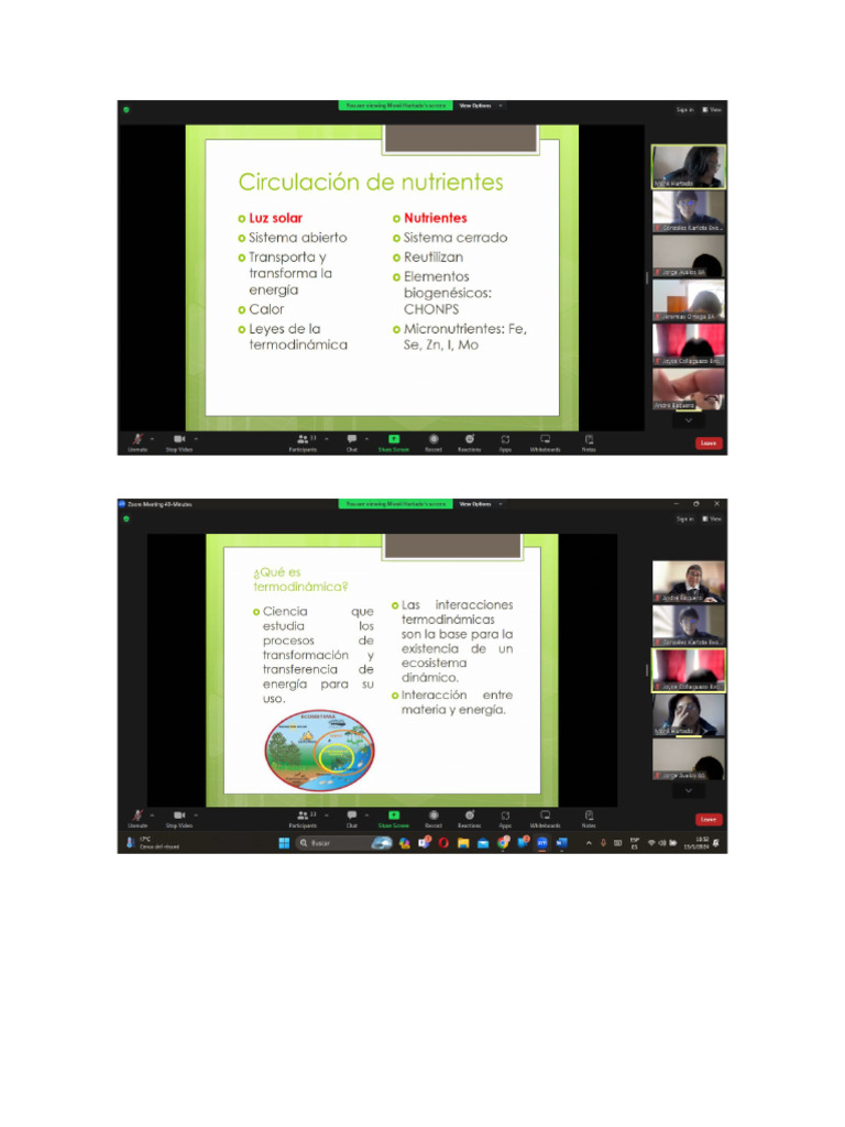 Clases Virtuales | PDF