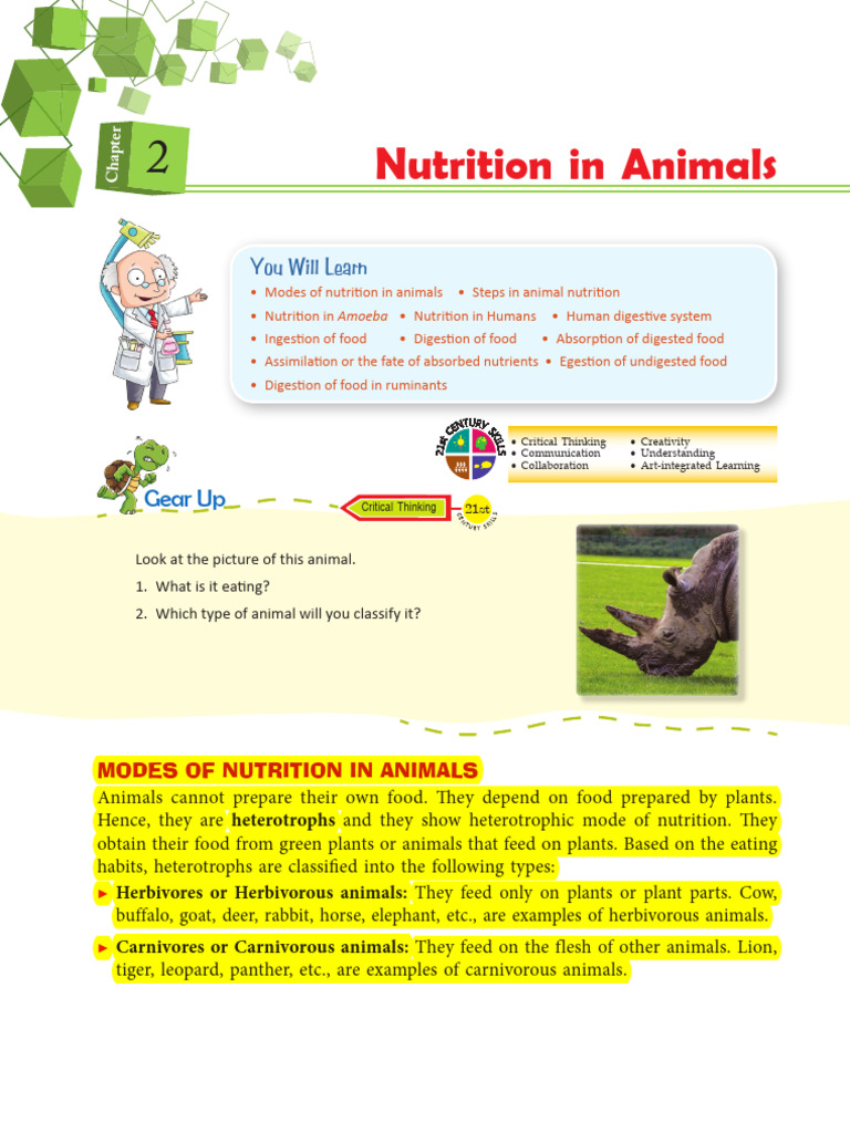 Science Booster 7 Chapter 2 | PDF | Digestion | Stomach