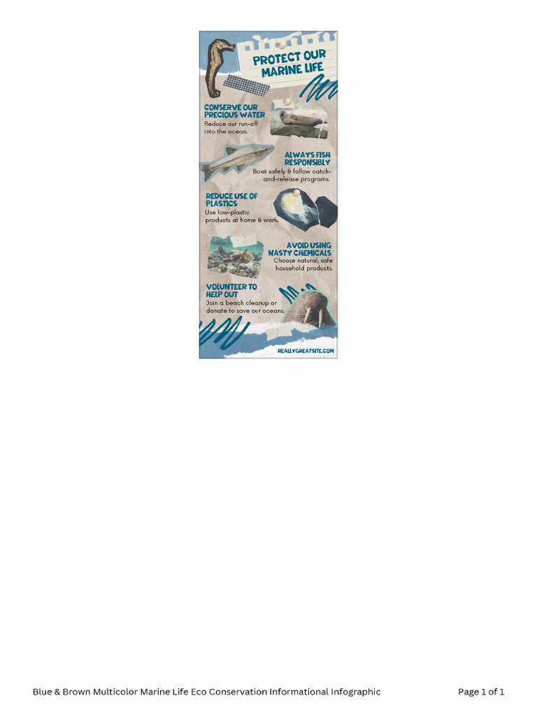 Marine Life Eco Conservation Informational Infographic. | PDF