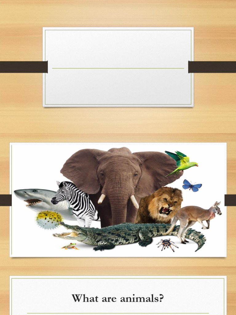 BIO1102 - Properties of animals | PDF