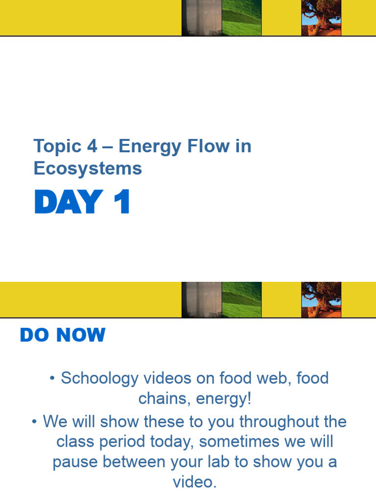 Energy Flow | PDF