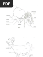 Installing Auxiliary Terminal Cabinets | PDF