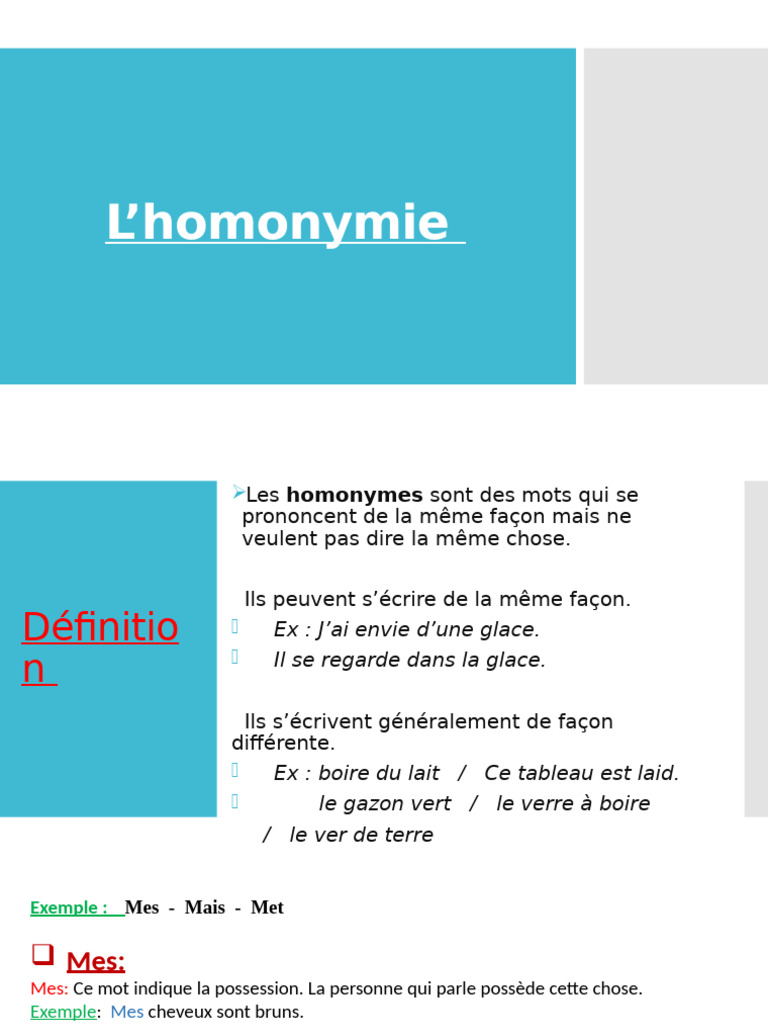 Homonymie | PDF