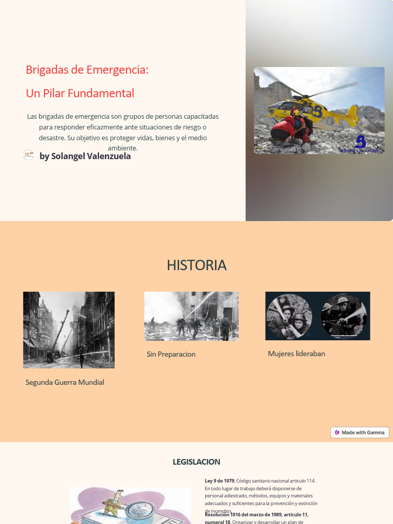 3-Conformacion Brigadas de emergencia | PDF