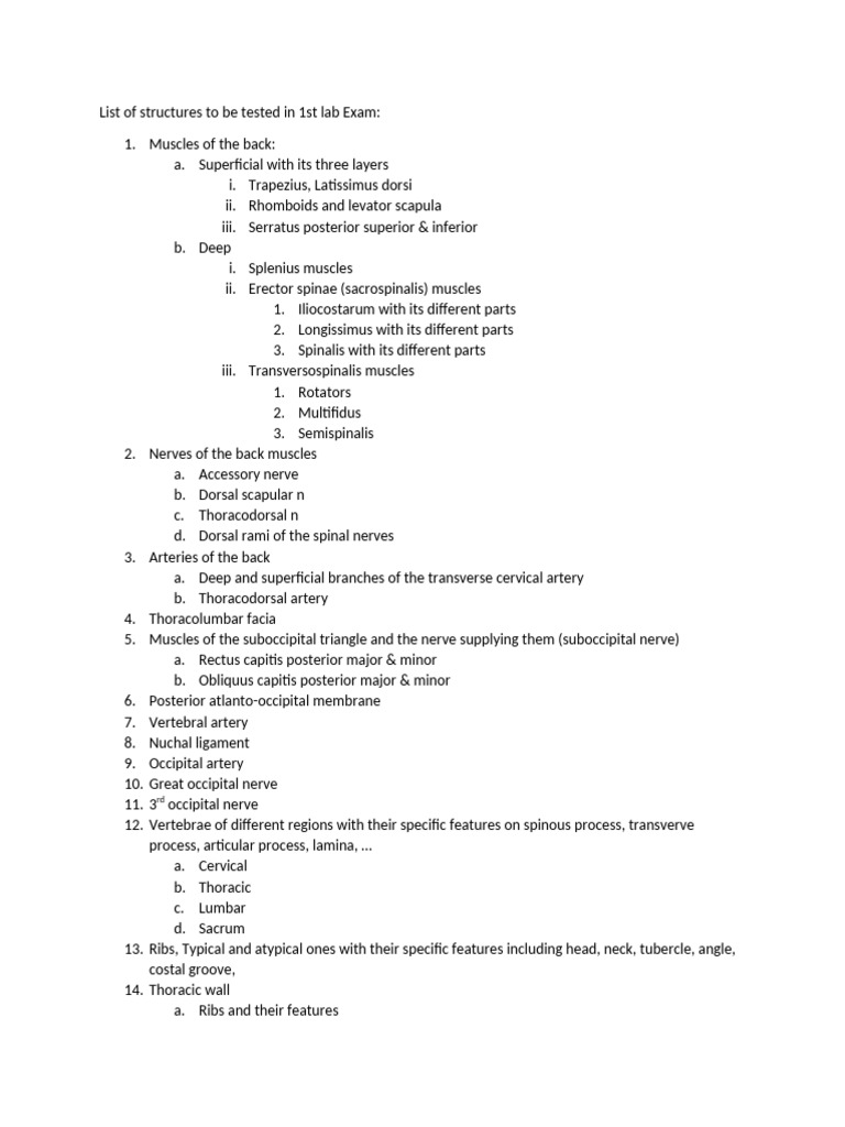 List of Structures 1st Lab Exam 2024 | PDF