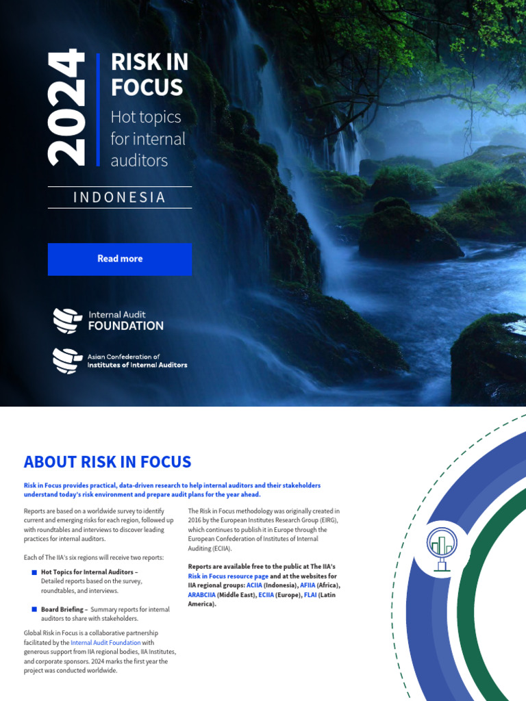 Risk in Focus 2024 | PDF