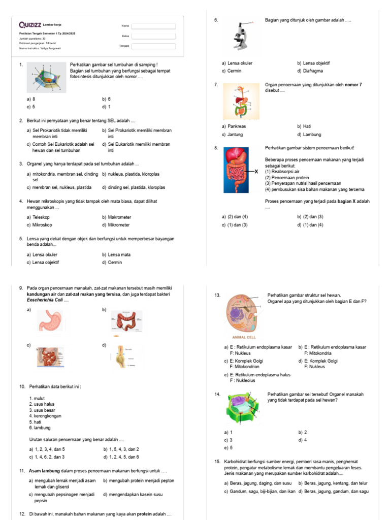 Uts Sem 1 24-25 | PDF
