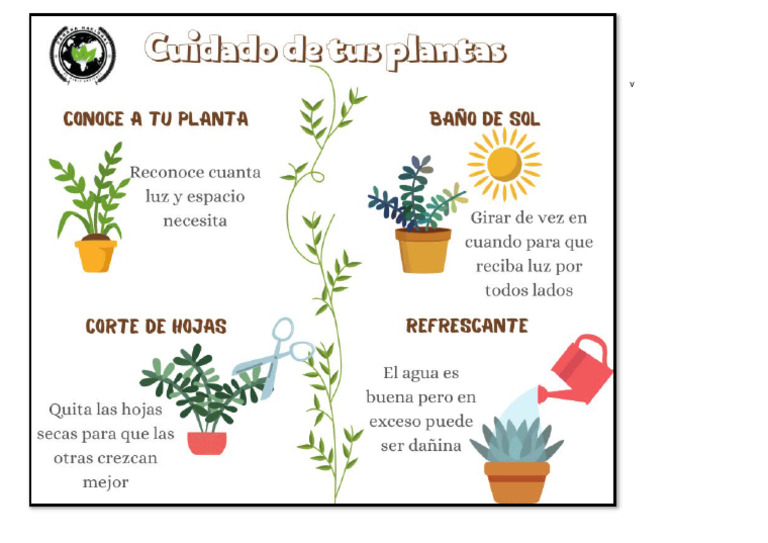 Afiche de Plantas | PDF