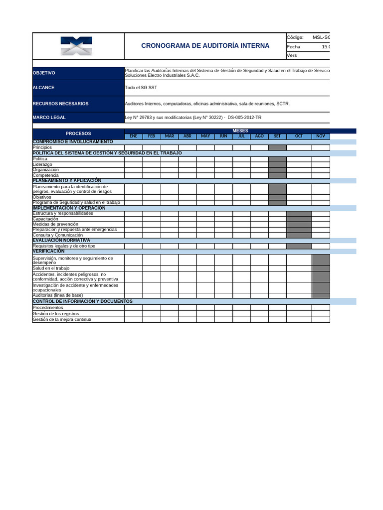 Programa de Auditorias Interna | PDF