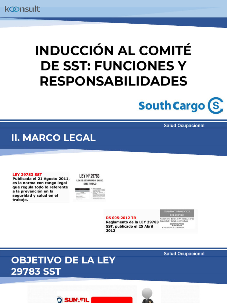 Induccion y Funciones Comite de SST | PDF