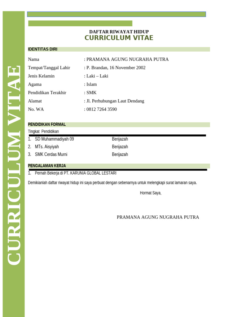 Curriculum Vitae | PDF