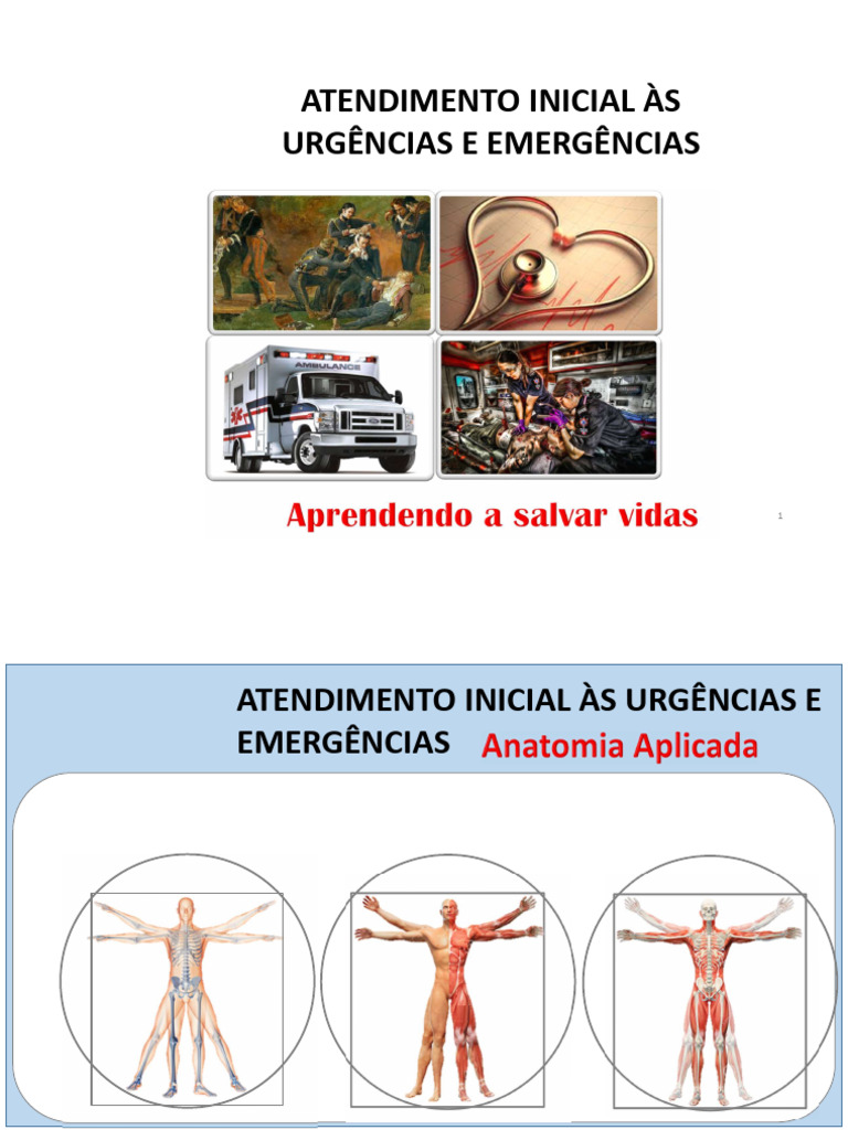 Aula 1 - Urg e Emerg - Atualizada 6-2024 | PDF