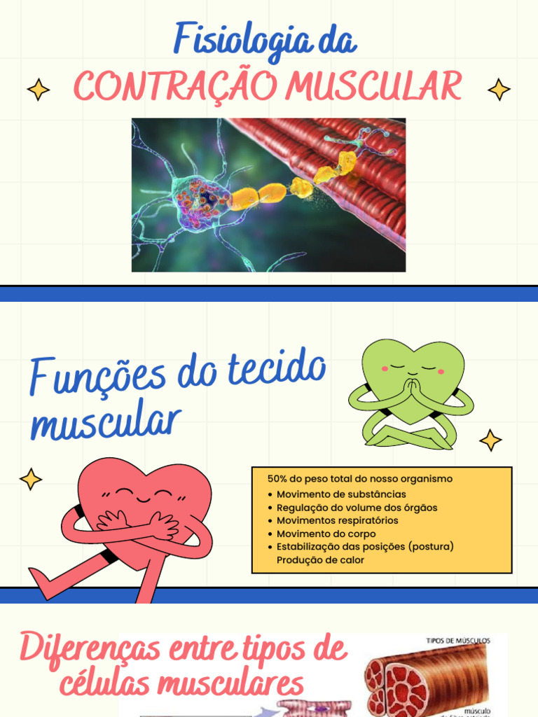 Fisiologia Da Contração Muscular | PDF