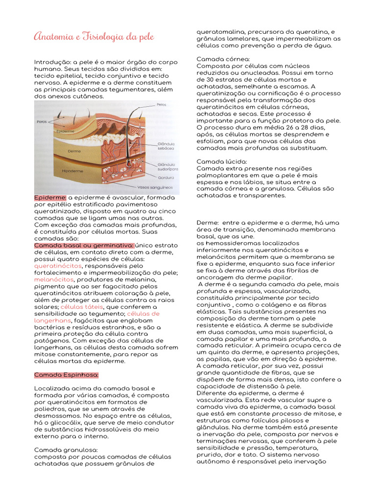 Anatomia e fisiologia da pele | PDF