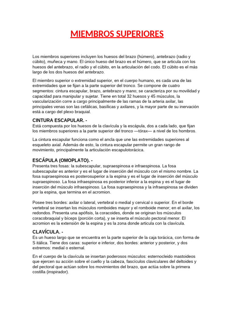 Miembros Superiores | PDF
