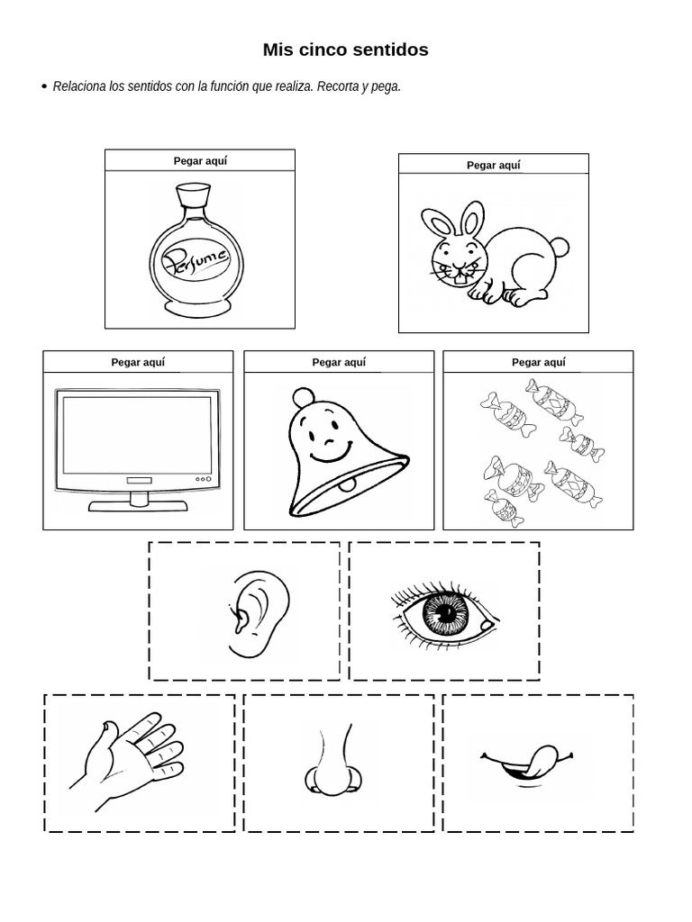 Mis cinco sentidos | PDF