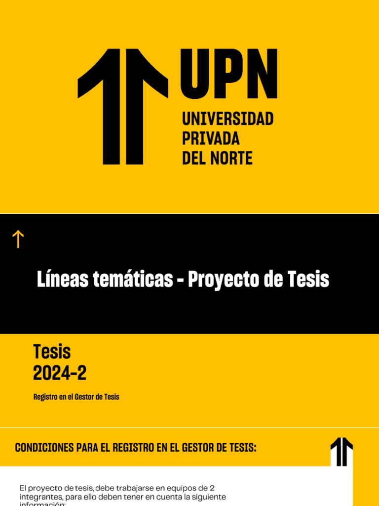 Líneas Temáticas | PDF